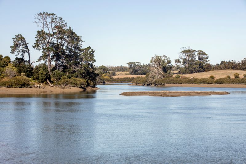 Papakura goes green in draft Local Board Plan - OurAuckland