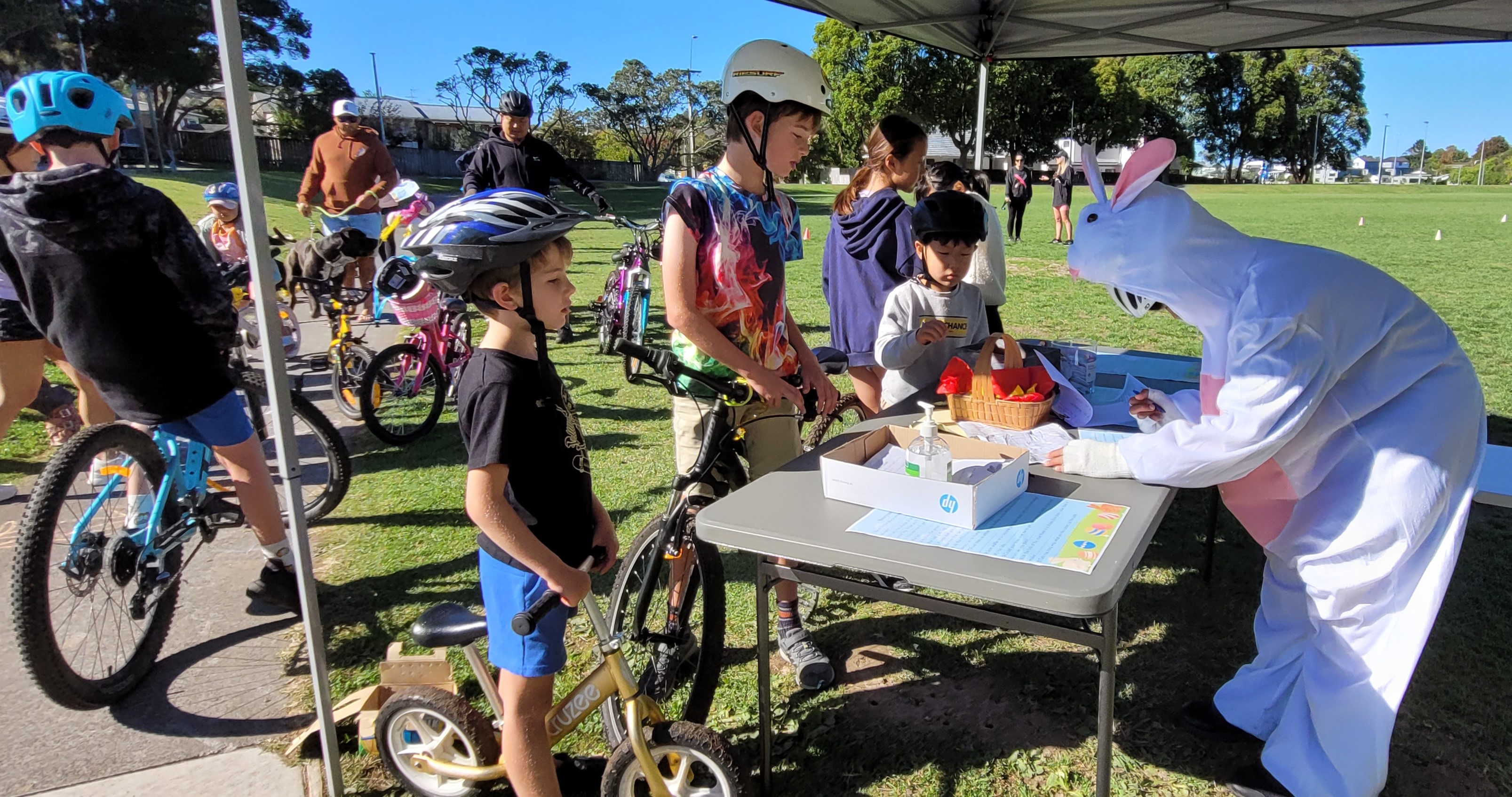 New recovery ‘PACT’ for Sunnynook, Totara Vale and Forrest Hill ...