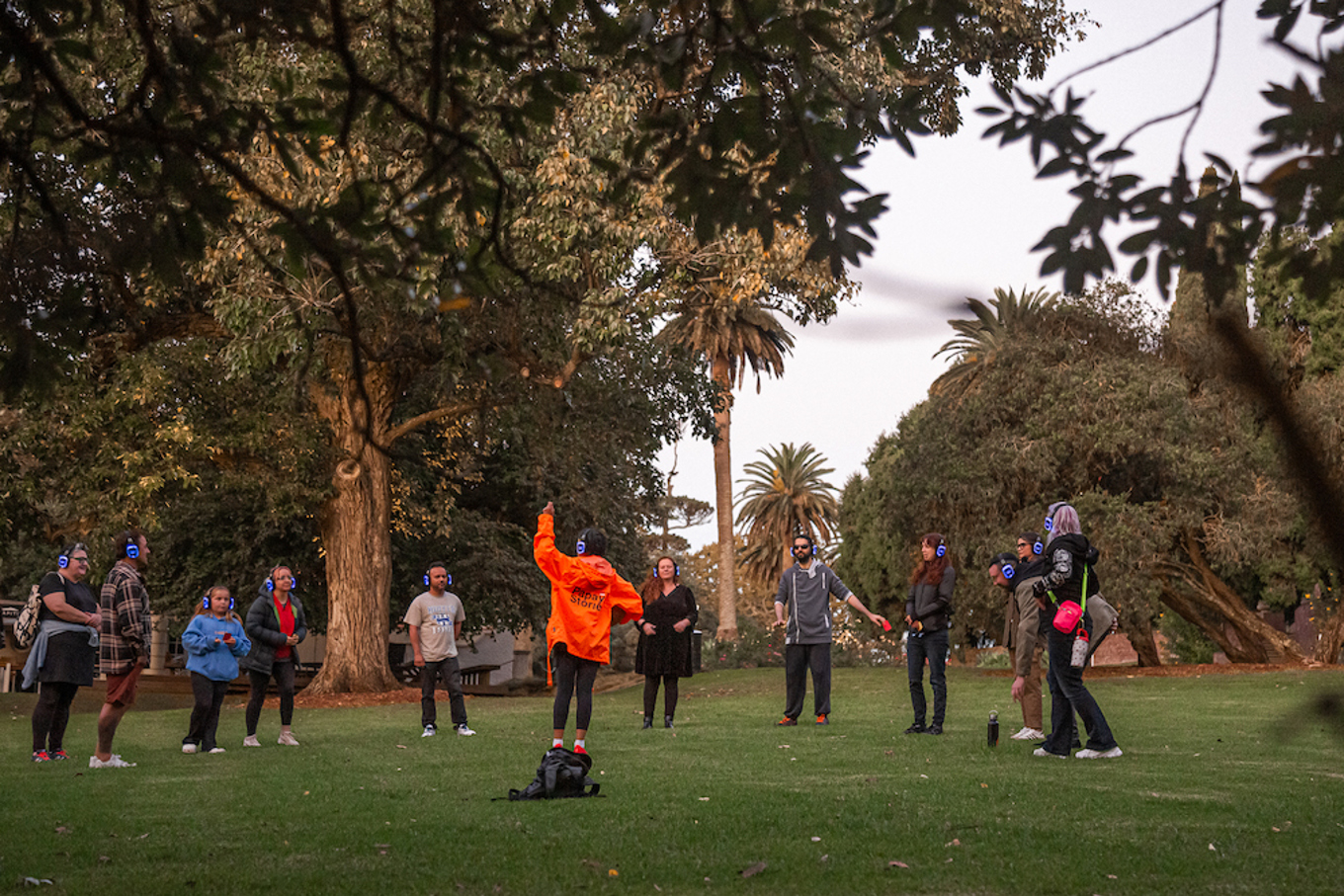 Immersive Nature Escape Walk - OurAuckland