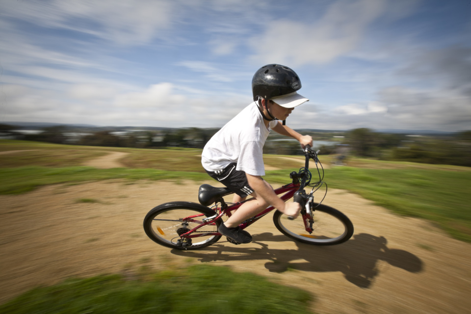 Spotlight on our local board neighbourhoods - Upper Harbour - OurAuckland