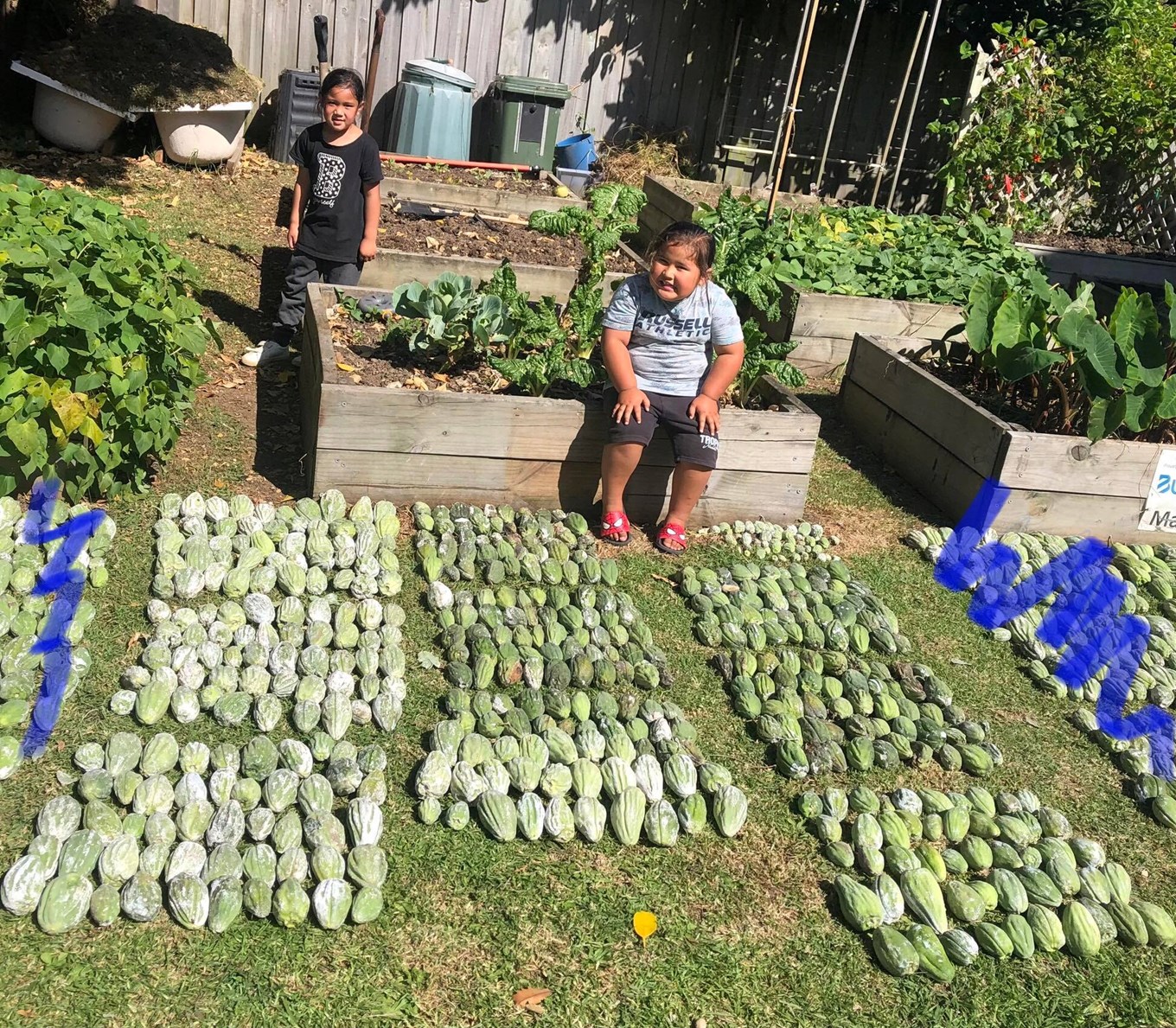 Waste plan a step closer to a zero-waste Auckland - OurAuckland