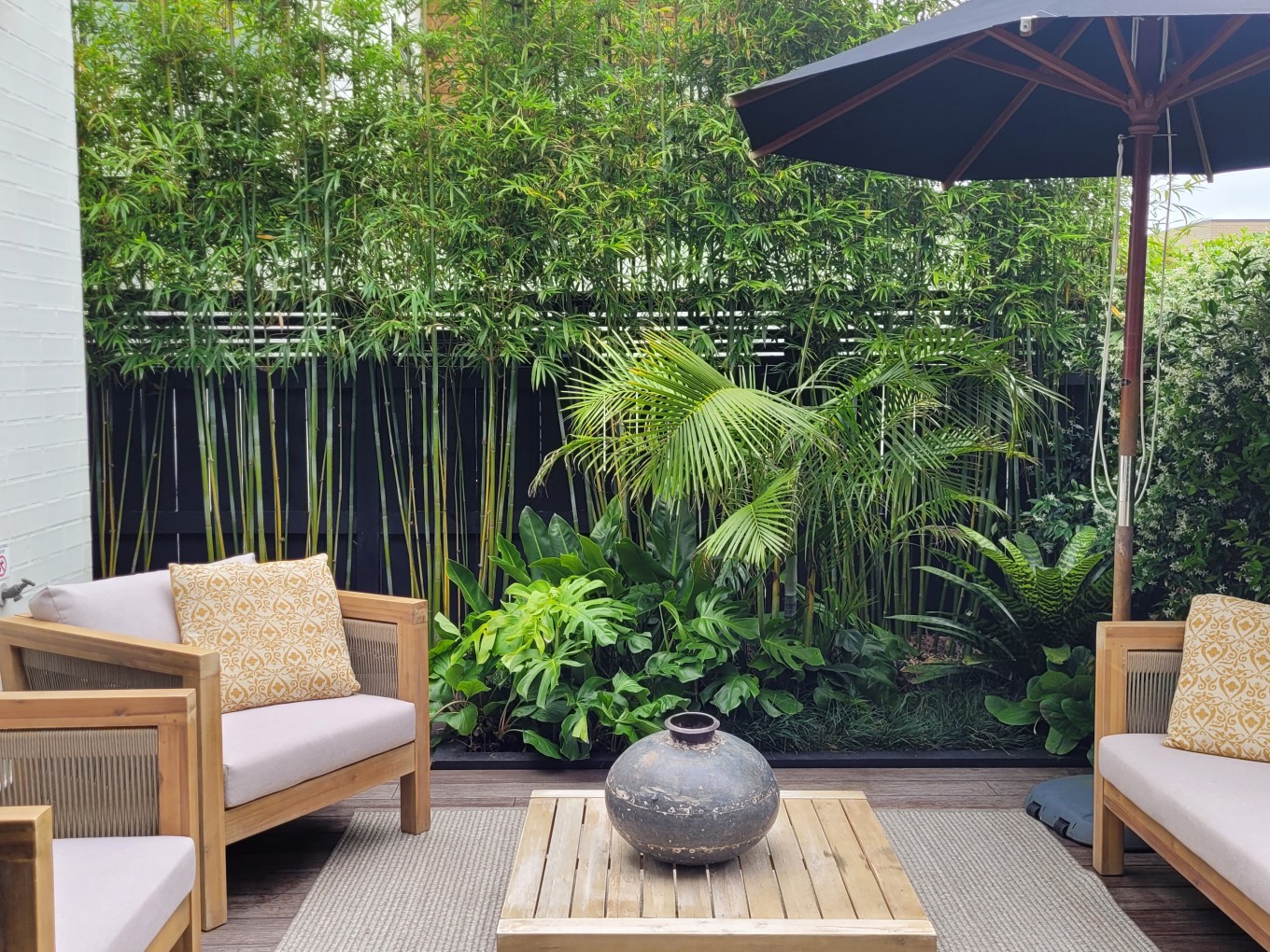 Bamboo: beloved backyard feature or Auckland’s quiet green invader ...