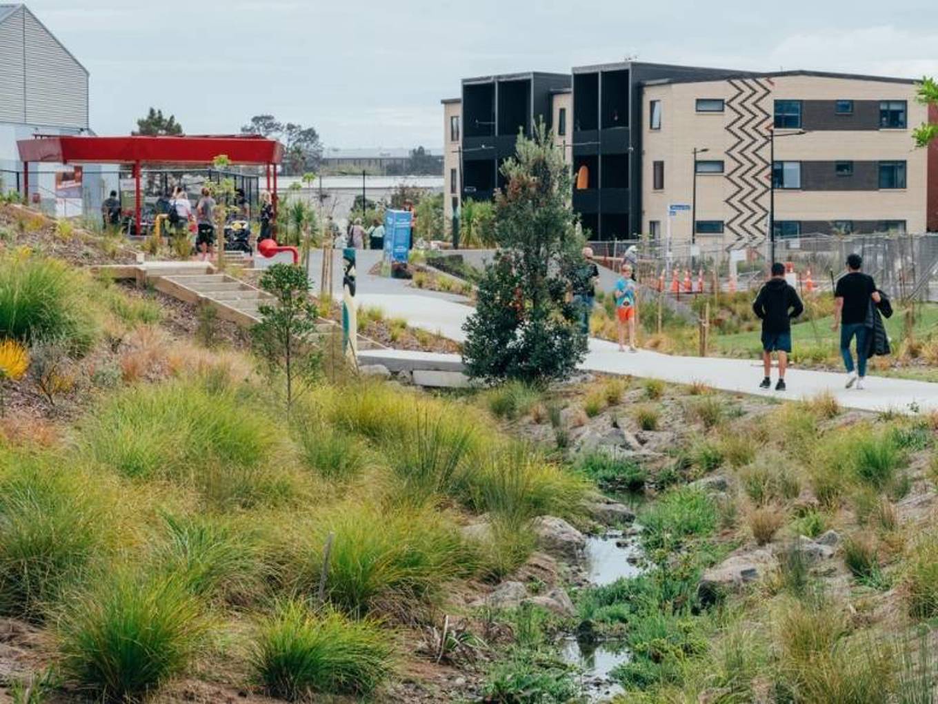 Guided Walk through Te Ara Awataha - OurAuckland