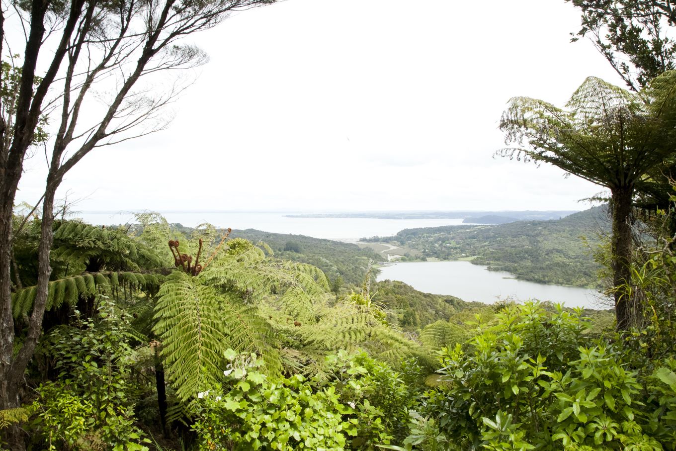 Have your say on the future of the Waitākere Ranges Heritage Area ...