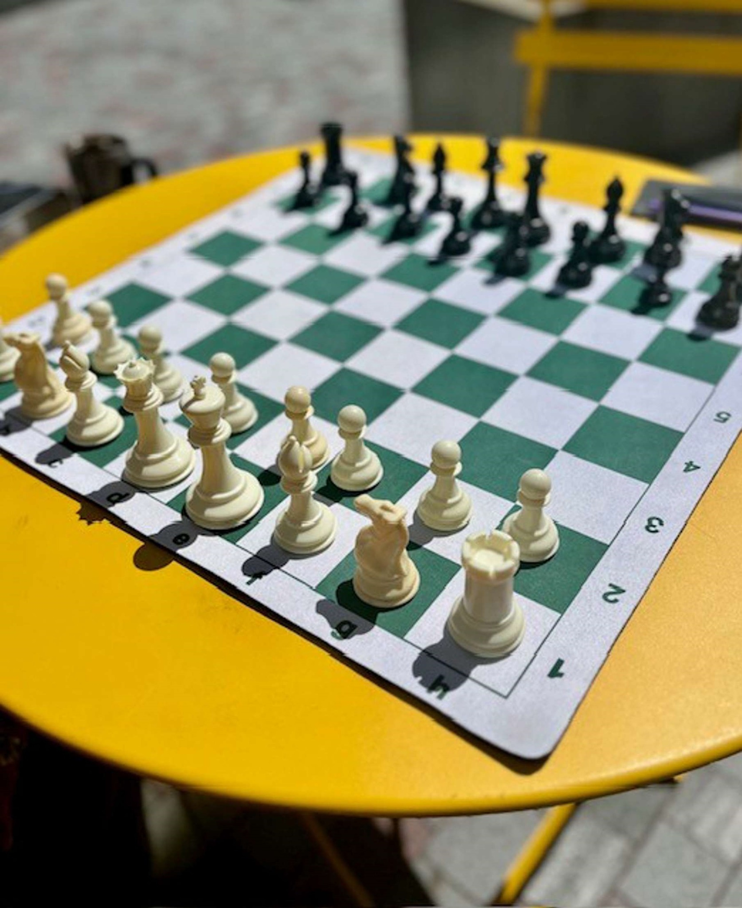 Human Chess Board - OurAuckland