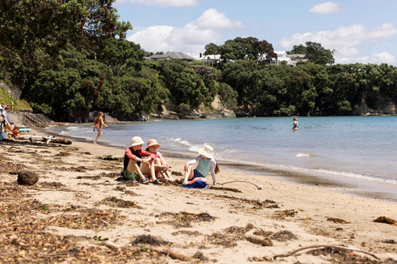 Safeswim helps you make the most of Auckland’s beaches - OurAuckland
