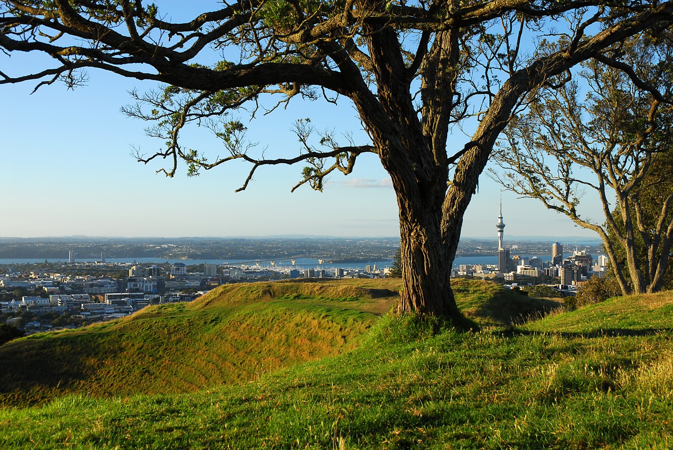 Climate ready: Ōpaheke Park opens in Papakura - OurAuckland