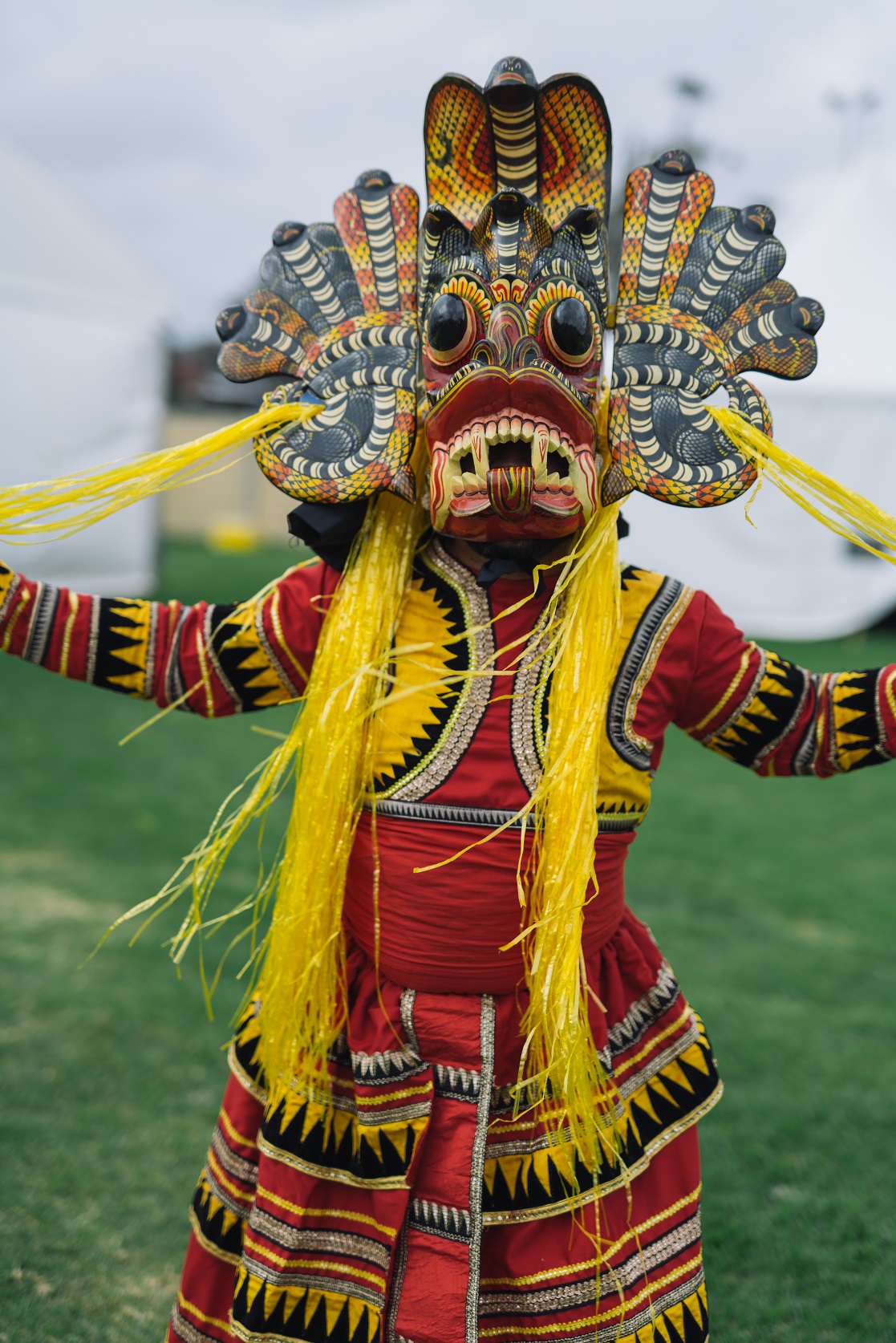 Celebrate Auckland’s incredible cultural palette - OurAuckland