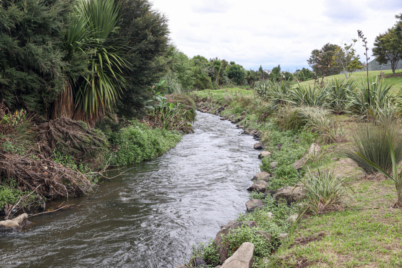 How do we put freshwater first? - OurAuckland