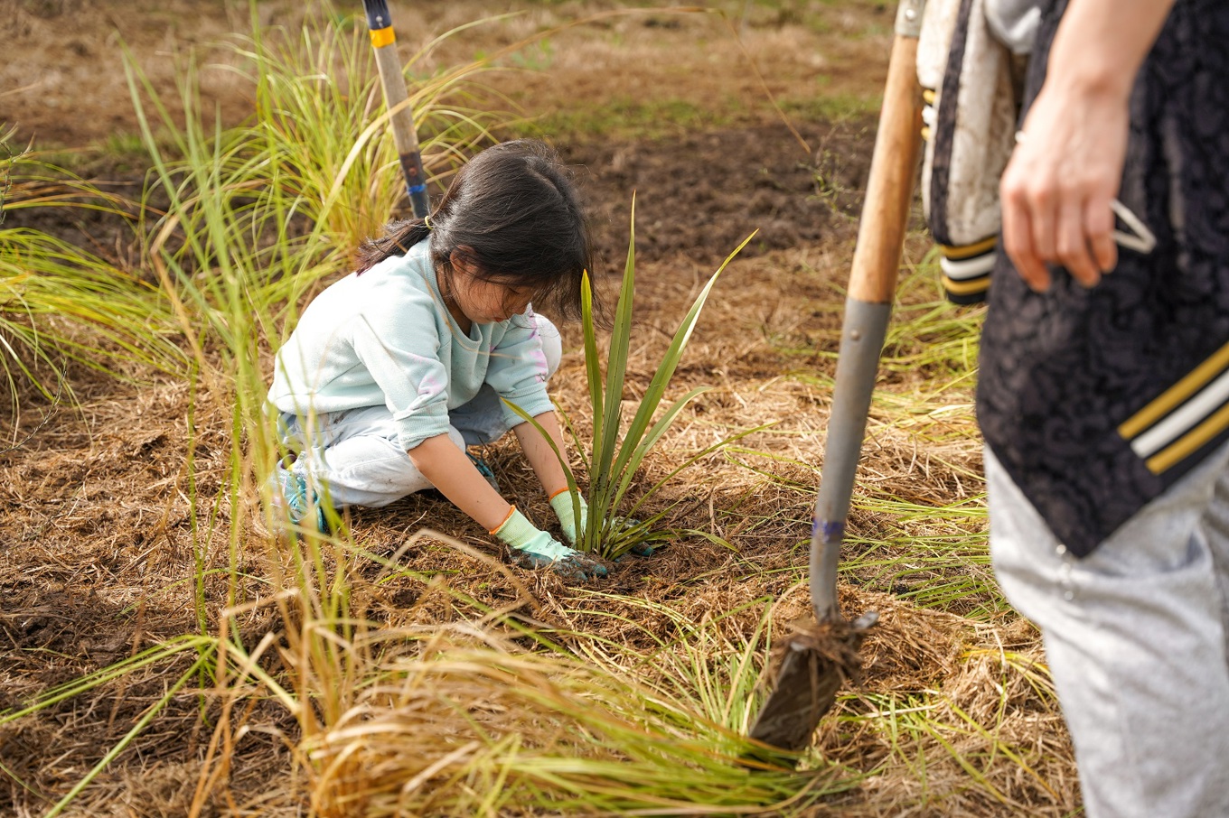Attend a community tree planting day – it’s good for you and the planet ...