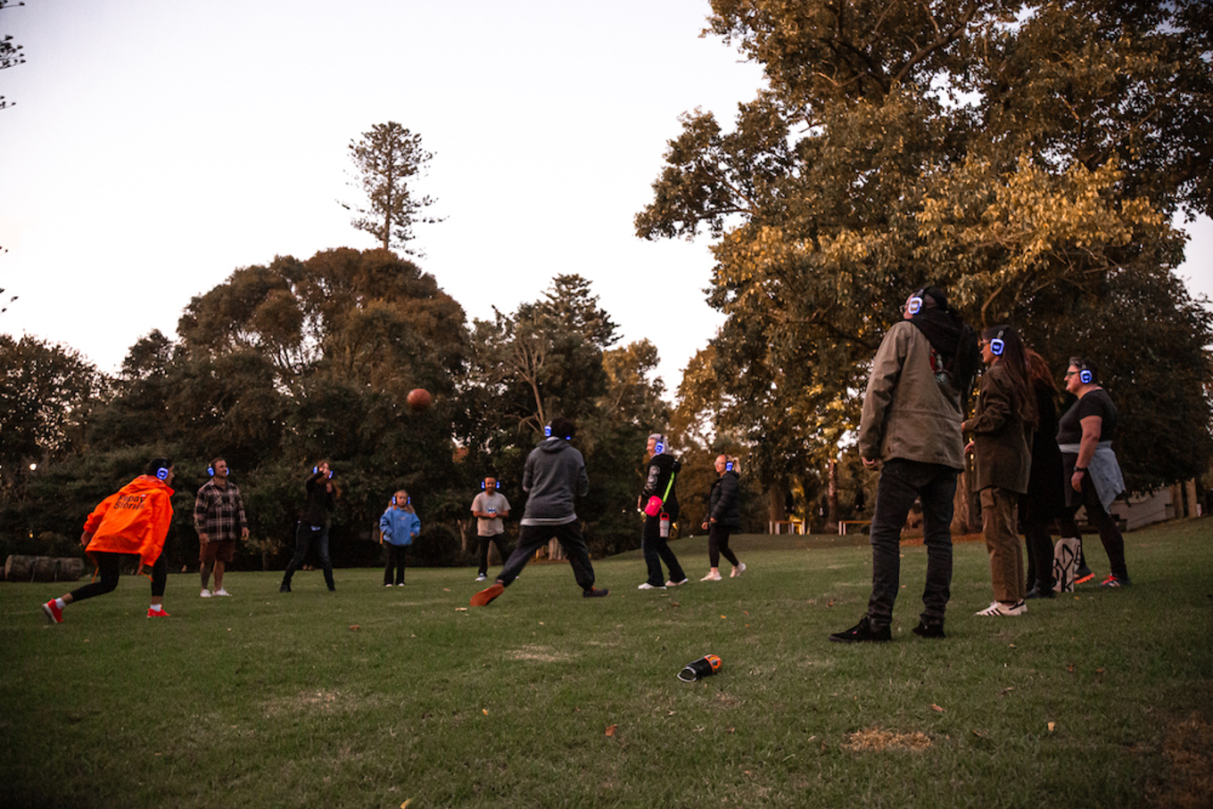 Immersive Nature Escape Walk - OurAuckland