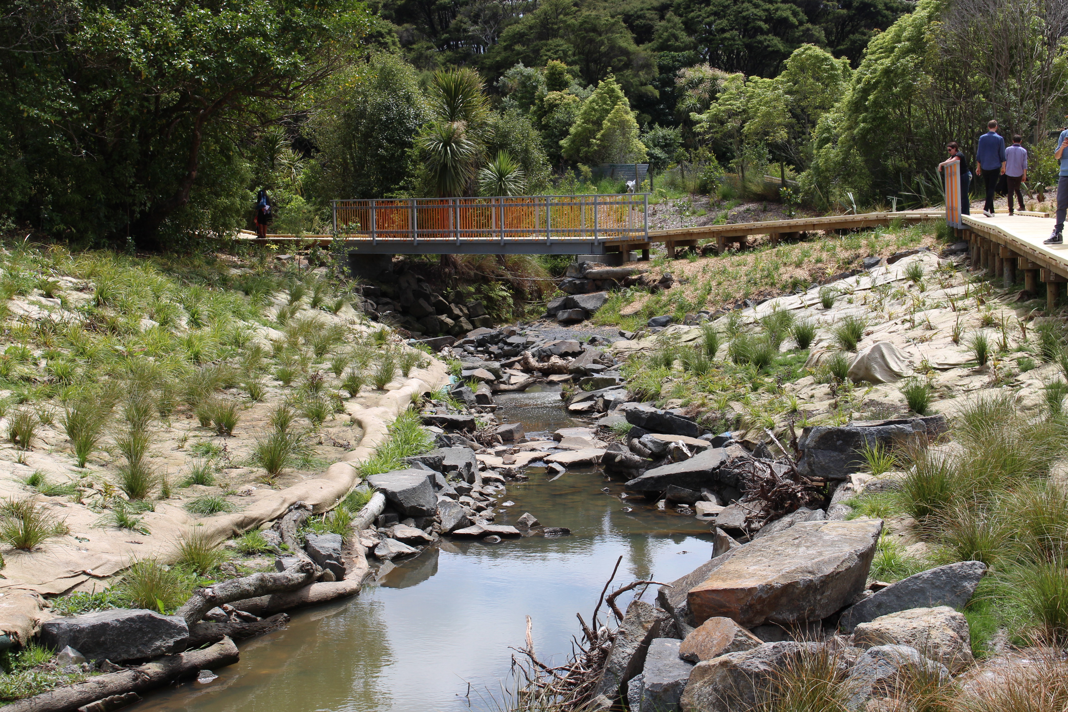 Auckland's water story 10 years on - OurAuckland