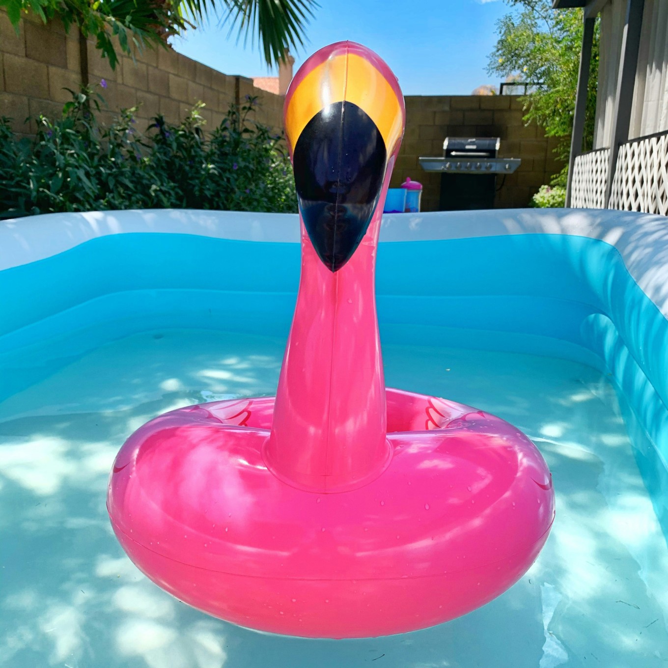Splash Safely! Auckland Council urges summer vigilance around pop-up ...