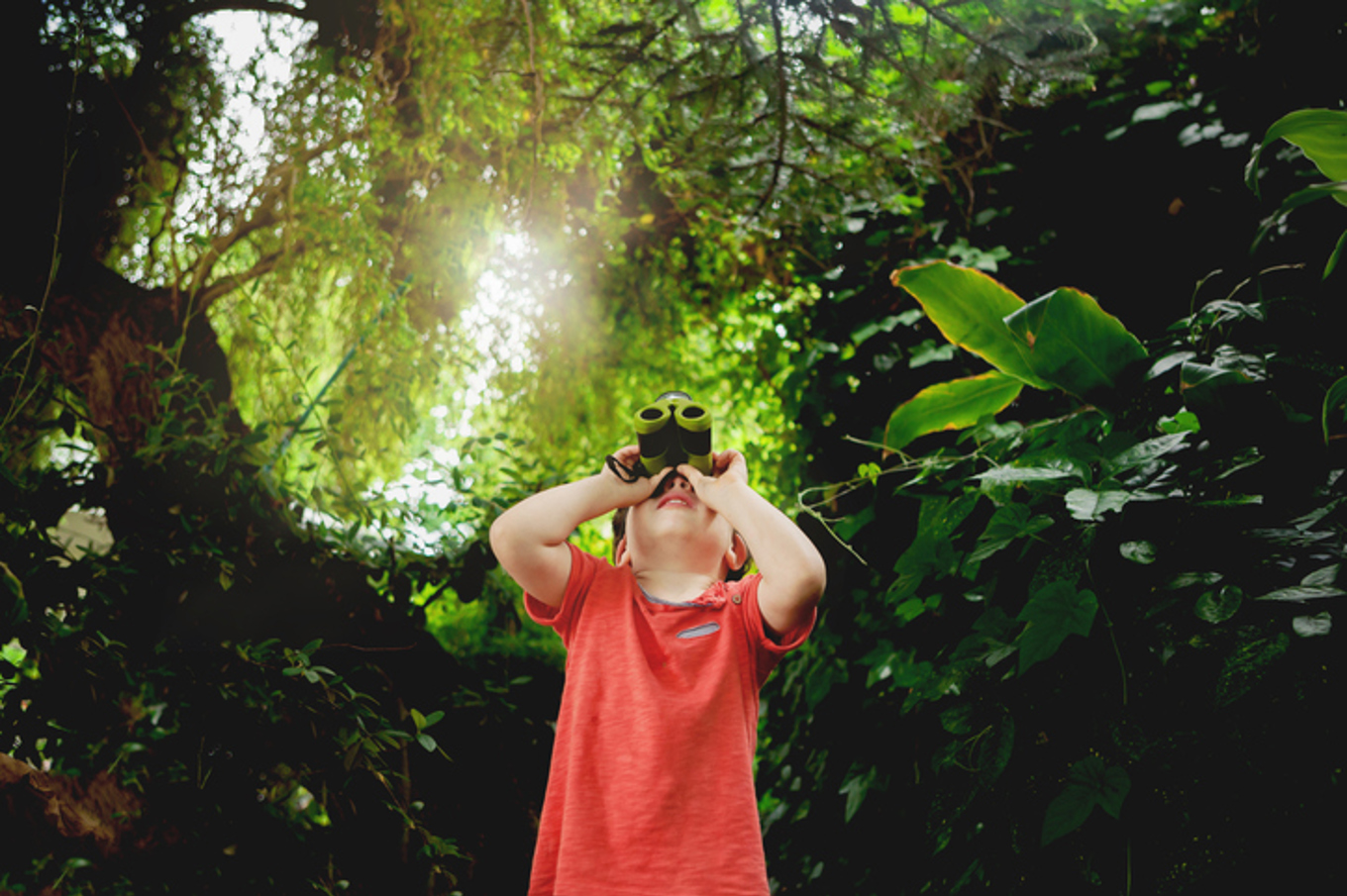 10 outdoor activities to make the most of your local green space ...