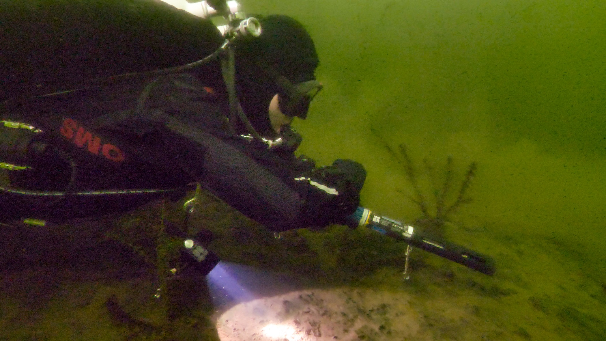 Restoring Lake Pupuke a high priority - OurAuckland