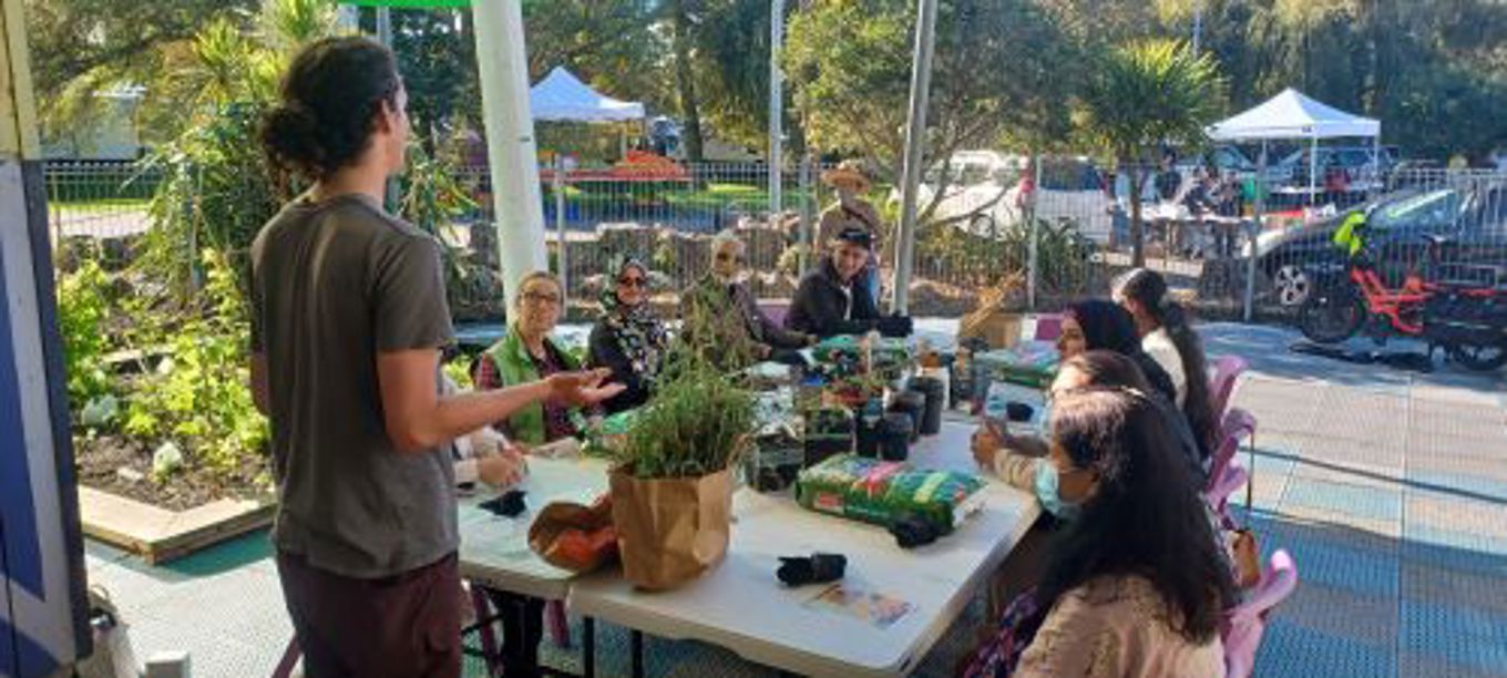Local Eco Festival plants skills and grows solutions - OurAuckland