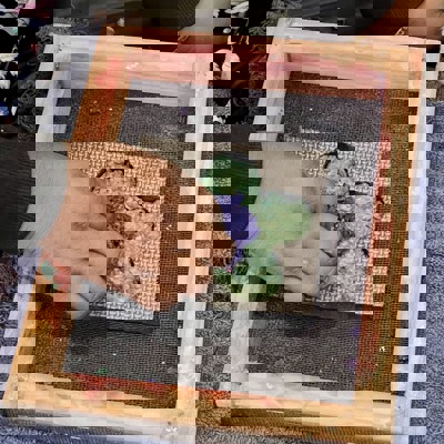 6 ways to make the most of Auckland Council Libraries - OurAuckland