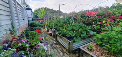 6 ways to make the most of Auckland Council Libraries - OurAuckland