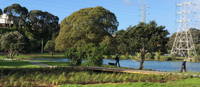 Onehunga Wharf update - OurAuckland