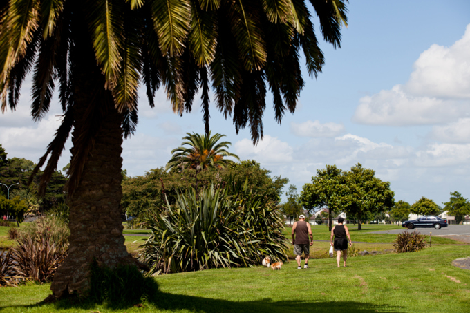 Papakura stands behind green plans - OurAuckland