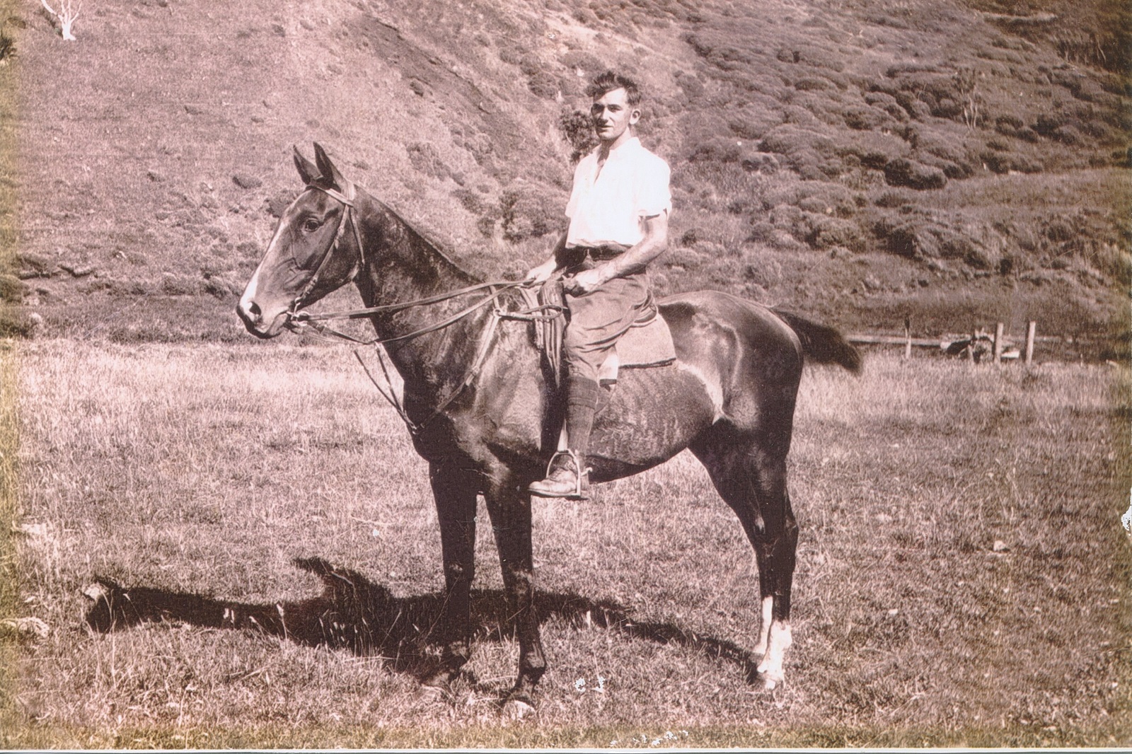 Discover the Gibbons family timber mills - OurAuckland