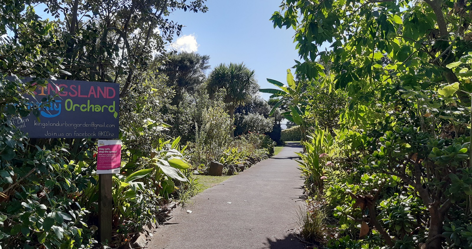 Kingsland's secret garden flourishing thanks to local volunteers ...