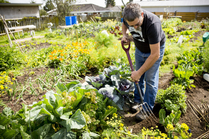 Growing interest in community green spaces - OurAuckland