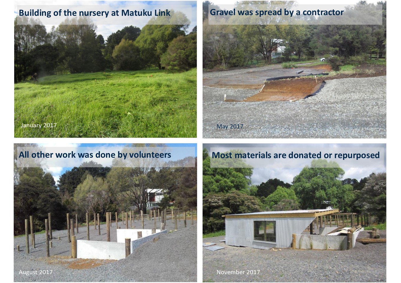 Meet a Pest-Free Hero – Matuku Link - OurAuckland