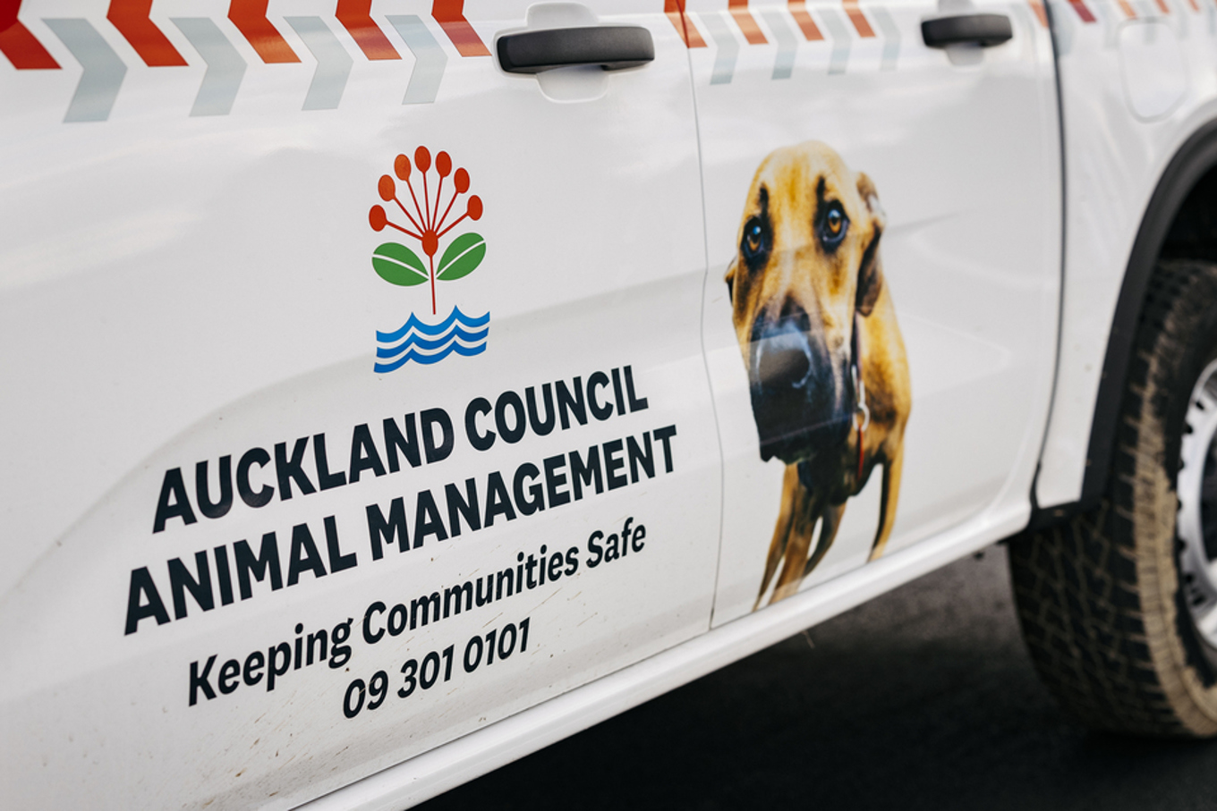 It’s a start – council welcomes review of Dog Control Act and urges ...