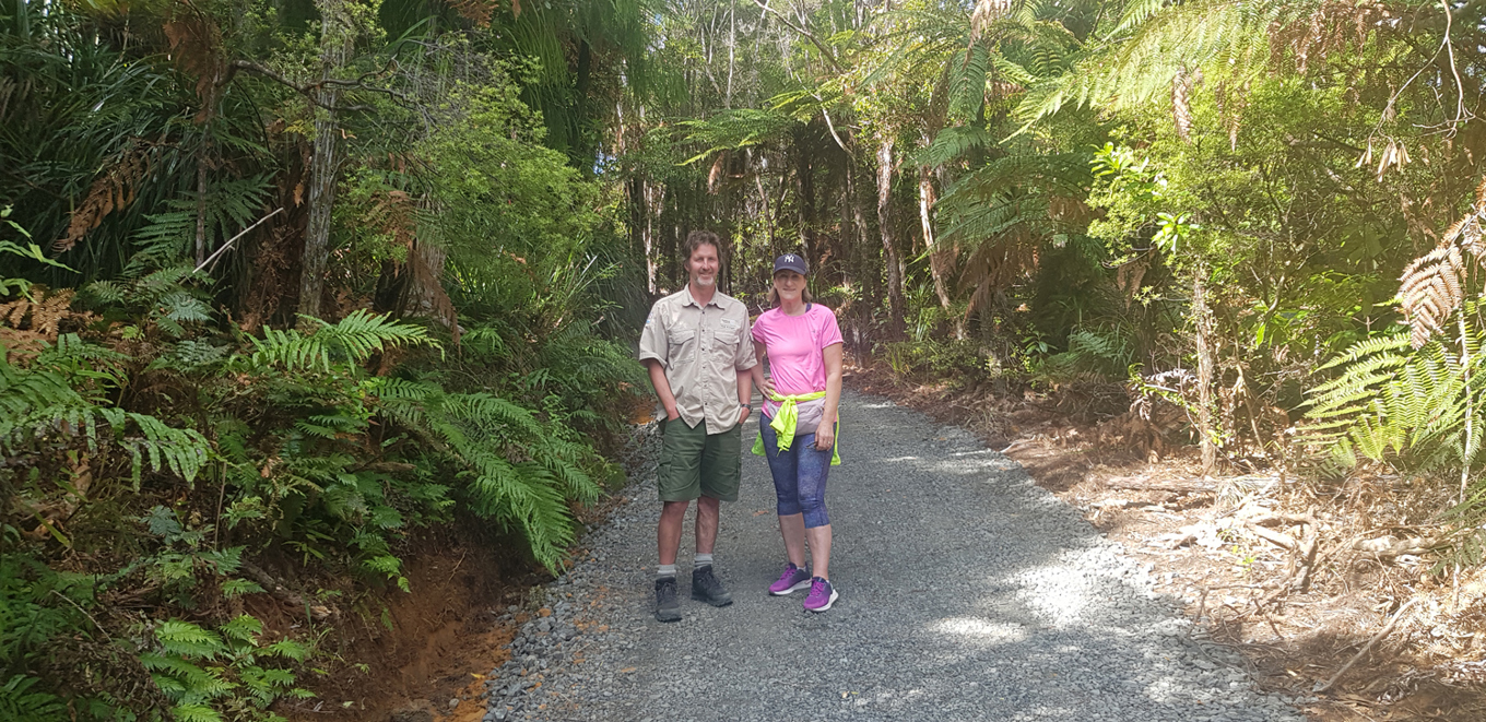 Waitākere Ranges' Cutty Grass Track re-opens for Easter Weekend ...