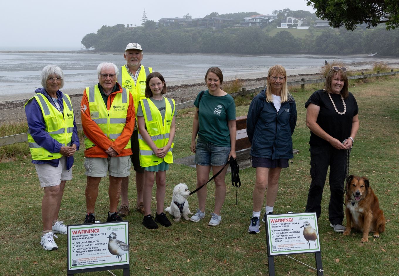 Dog rule change to safeguard nesting birds at Big Manly and Tindalls ...