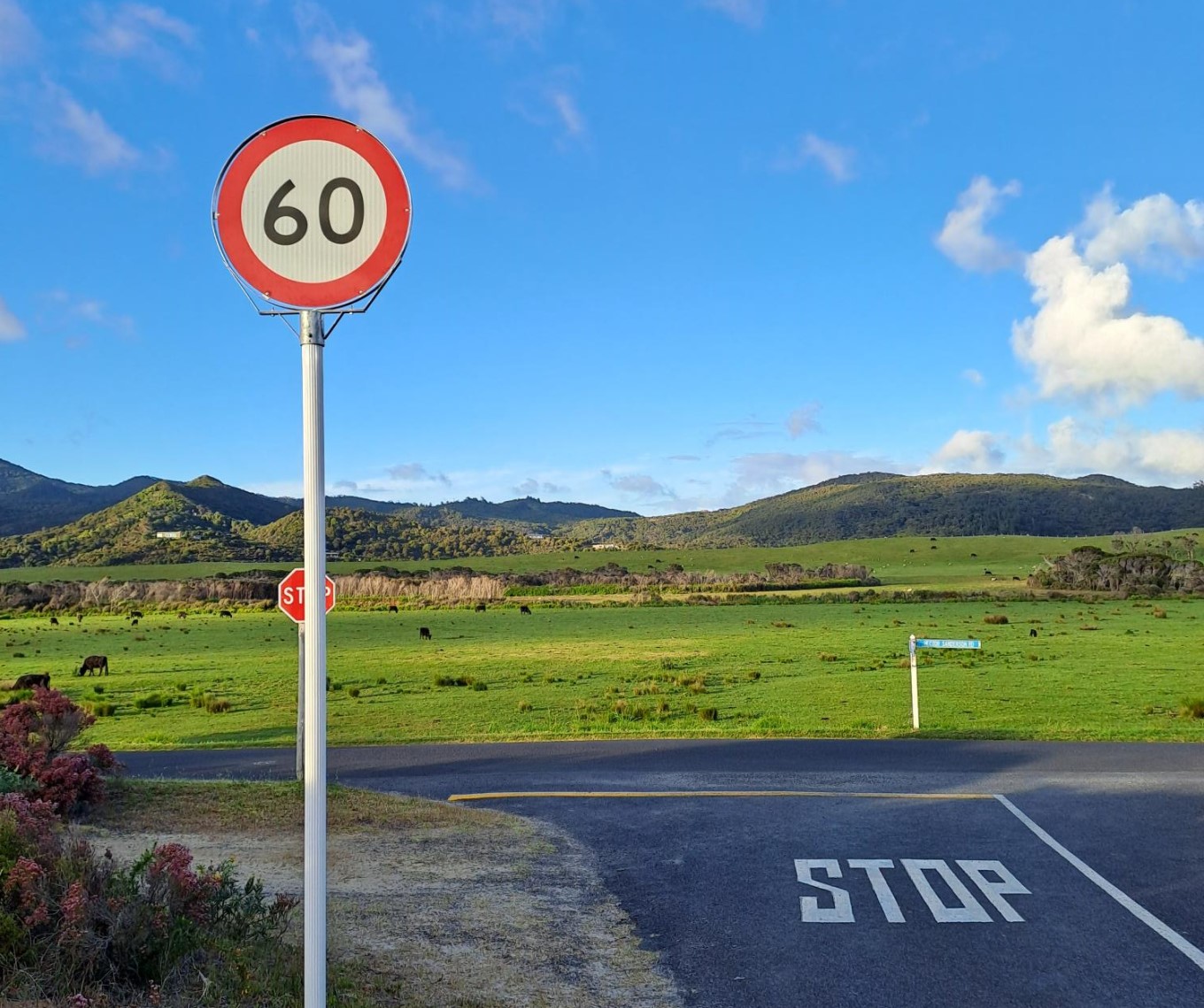 Safer speed limits for the island - OurAuckland