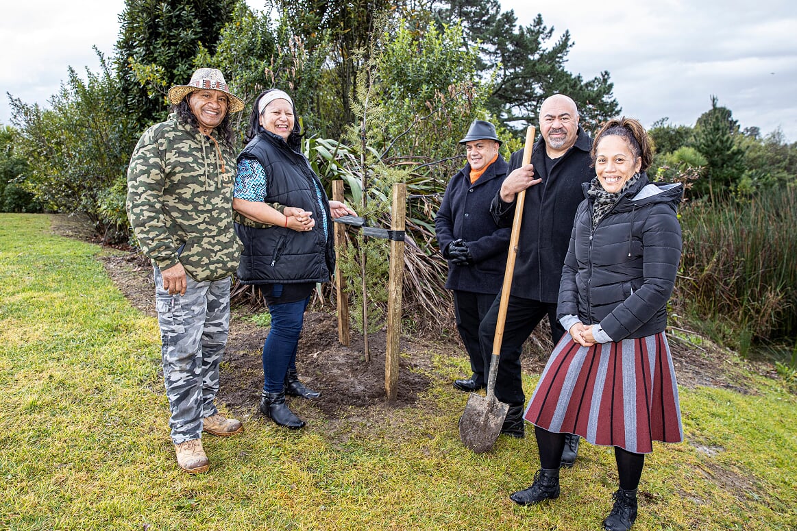 Community first as wetland amenity emerges from flood-prone swamp ...