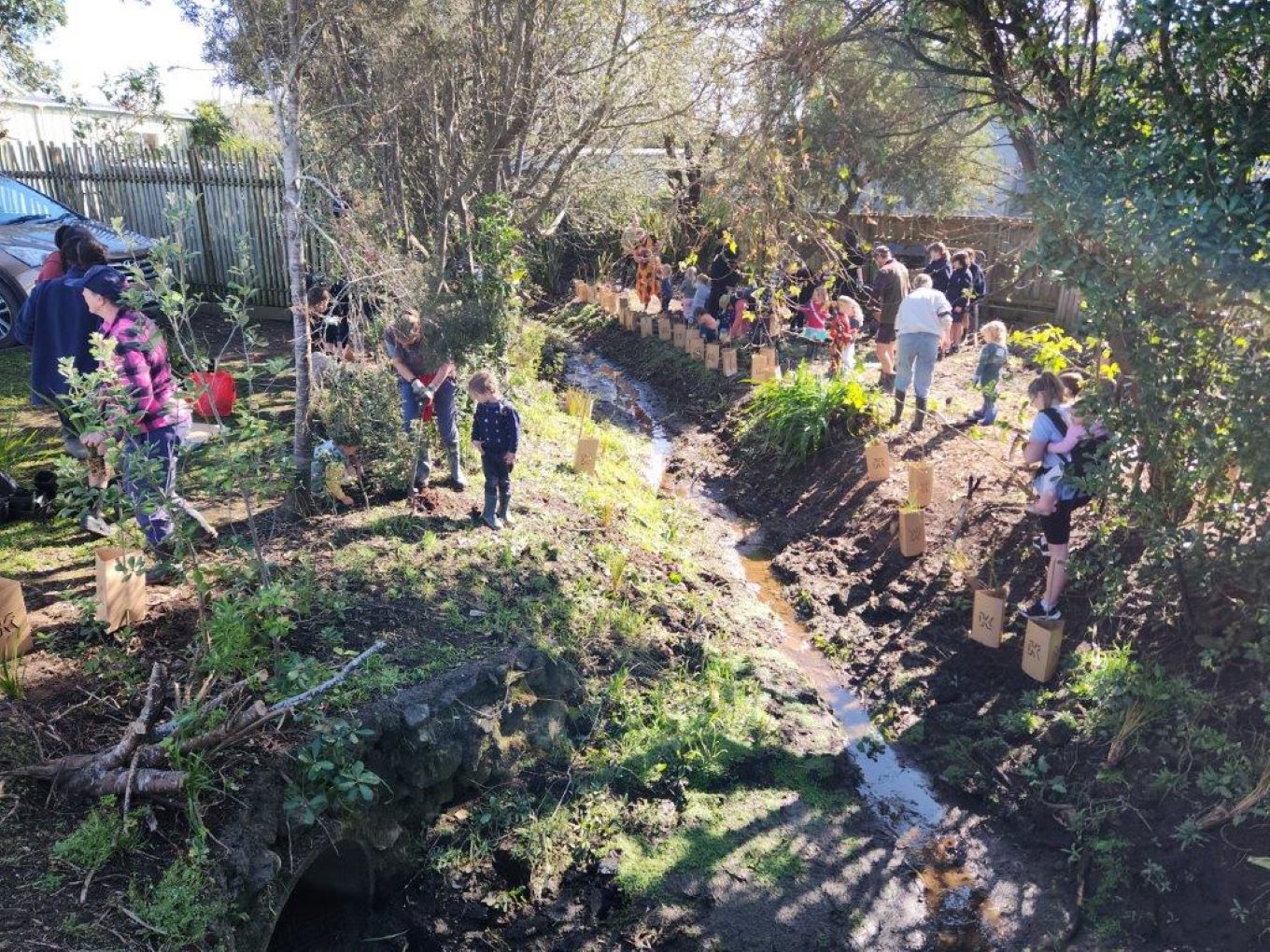 Auckland Council’s $10 million contribution helps Kaipara Moana ...