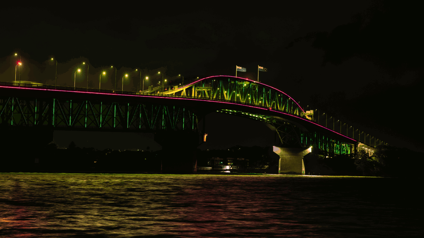 Vector Lights for a Kiwi Christmas - OurAuckland