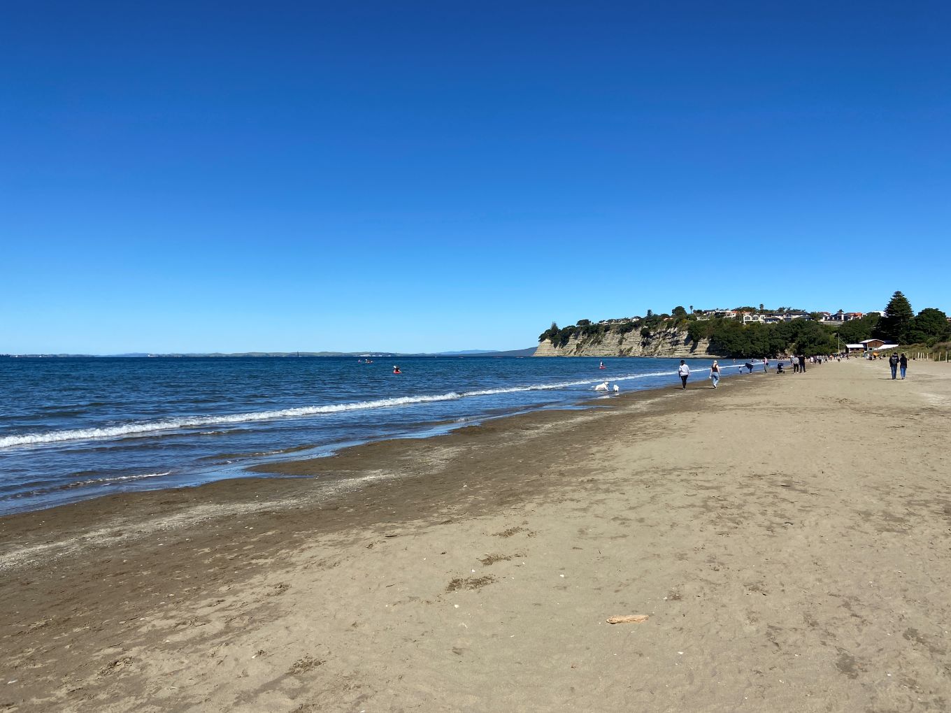 Auckland Council building tsunami resilience - OurAuckland