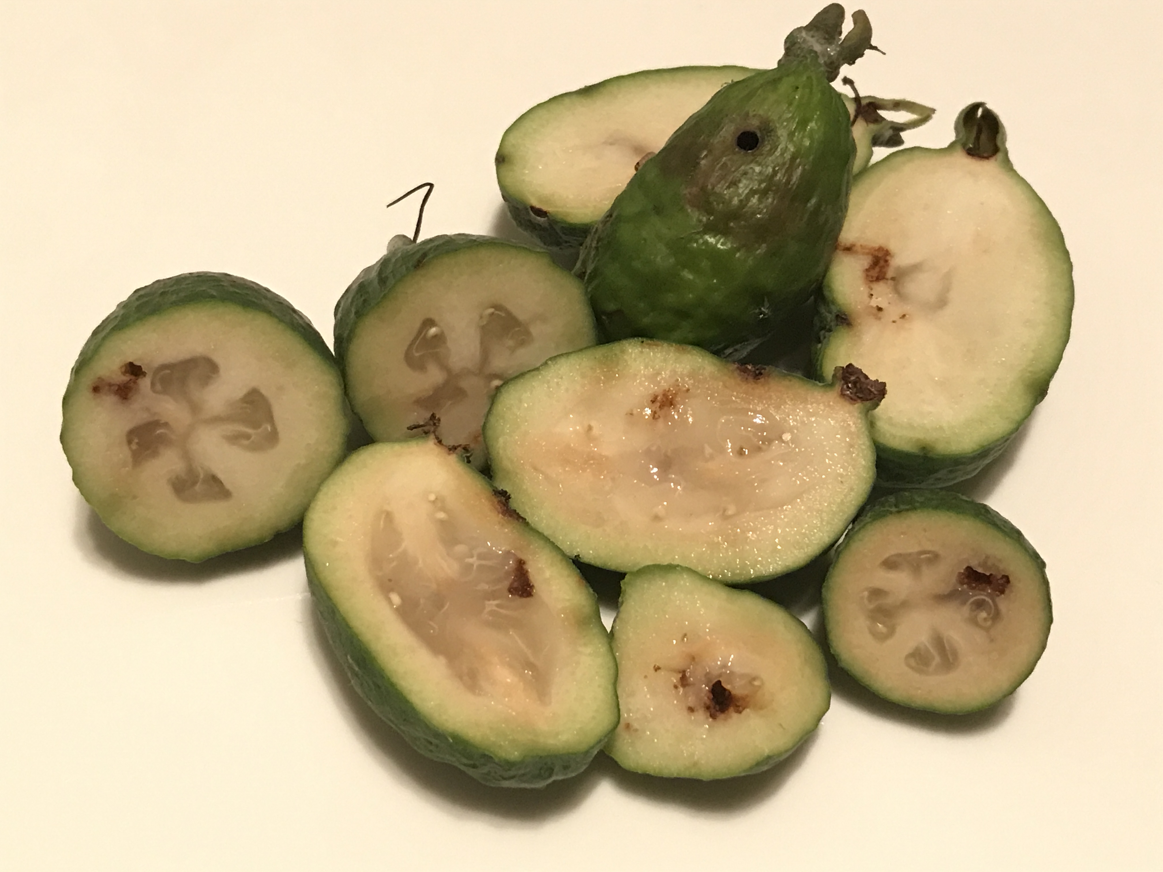 Keep the guava moth out of your fruit trees - OurAuckland