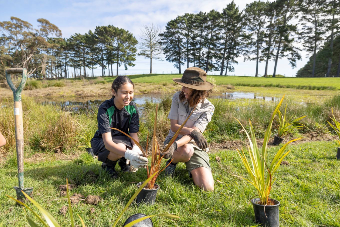 Auckland once again recognised as a Tree City of the World - OurAuckland