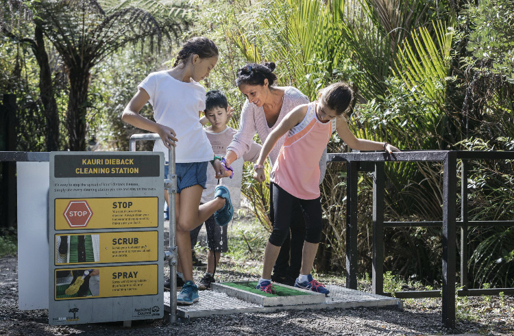 Celebrating Auckland's rangers on World Ranger Day - OurAuckland