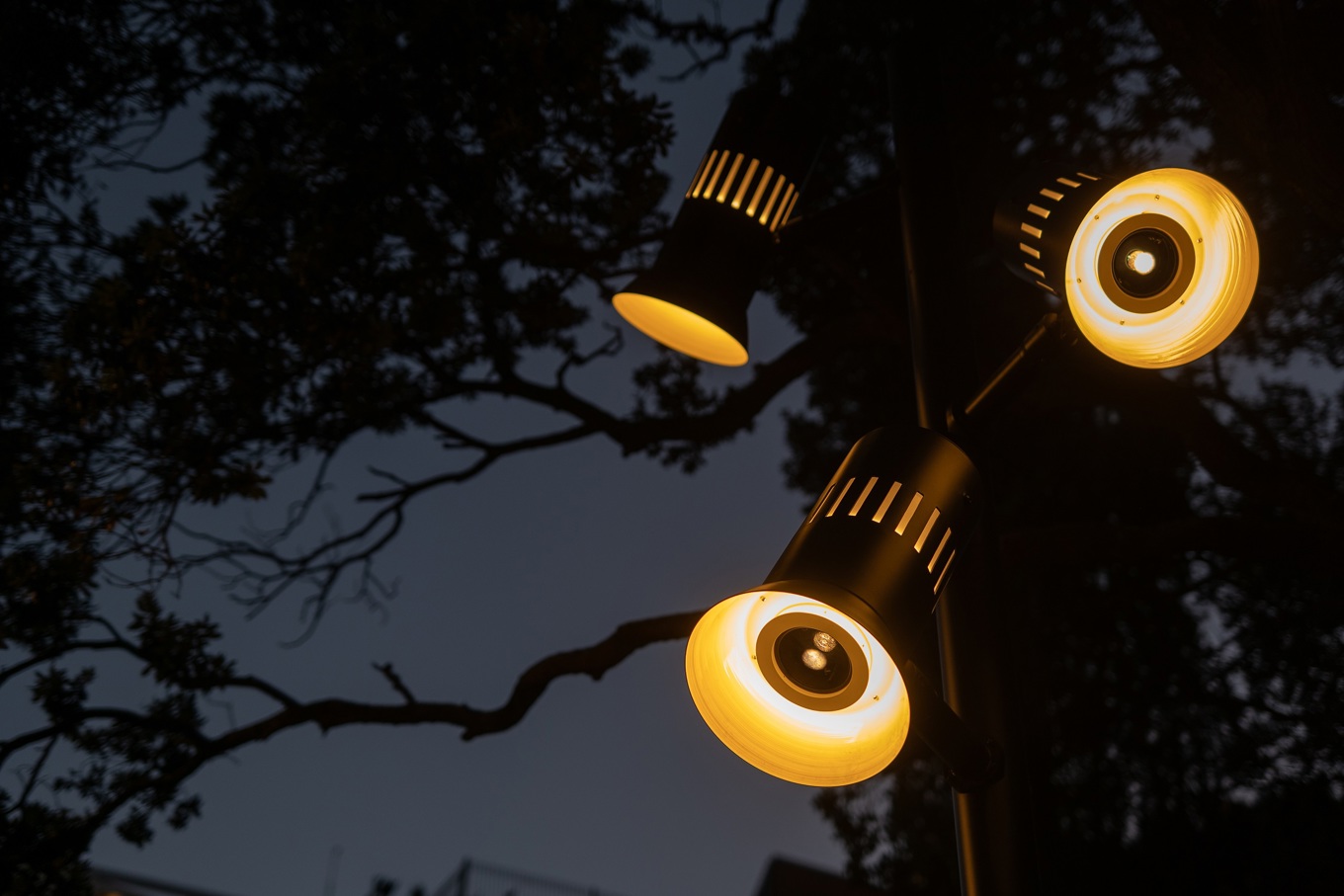 Federal Street - unique lights illuminate artwork to create outdoor ...