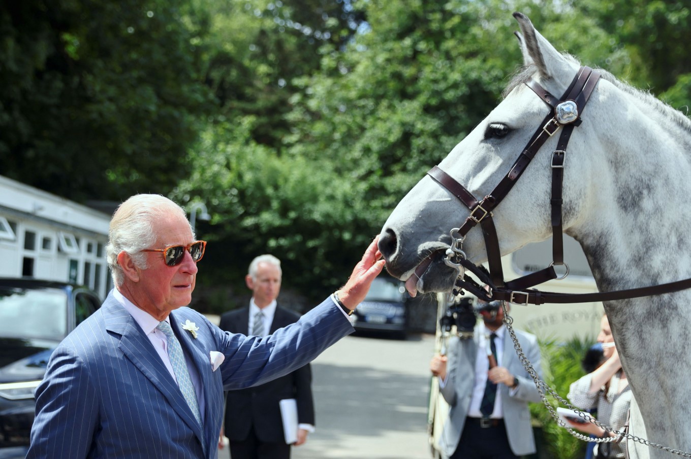 5 royal ways to celebrate King’s Birthday weekend - OurAuckland