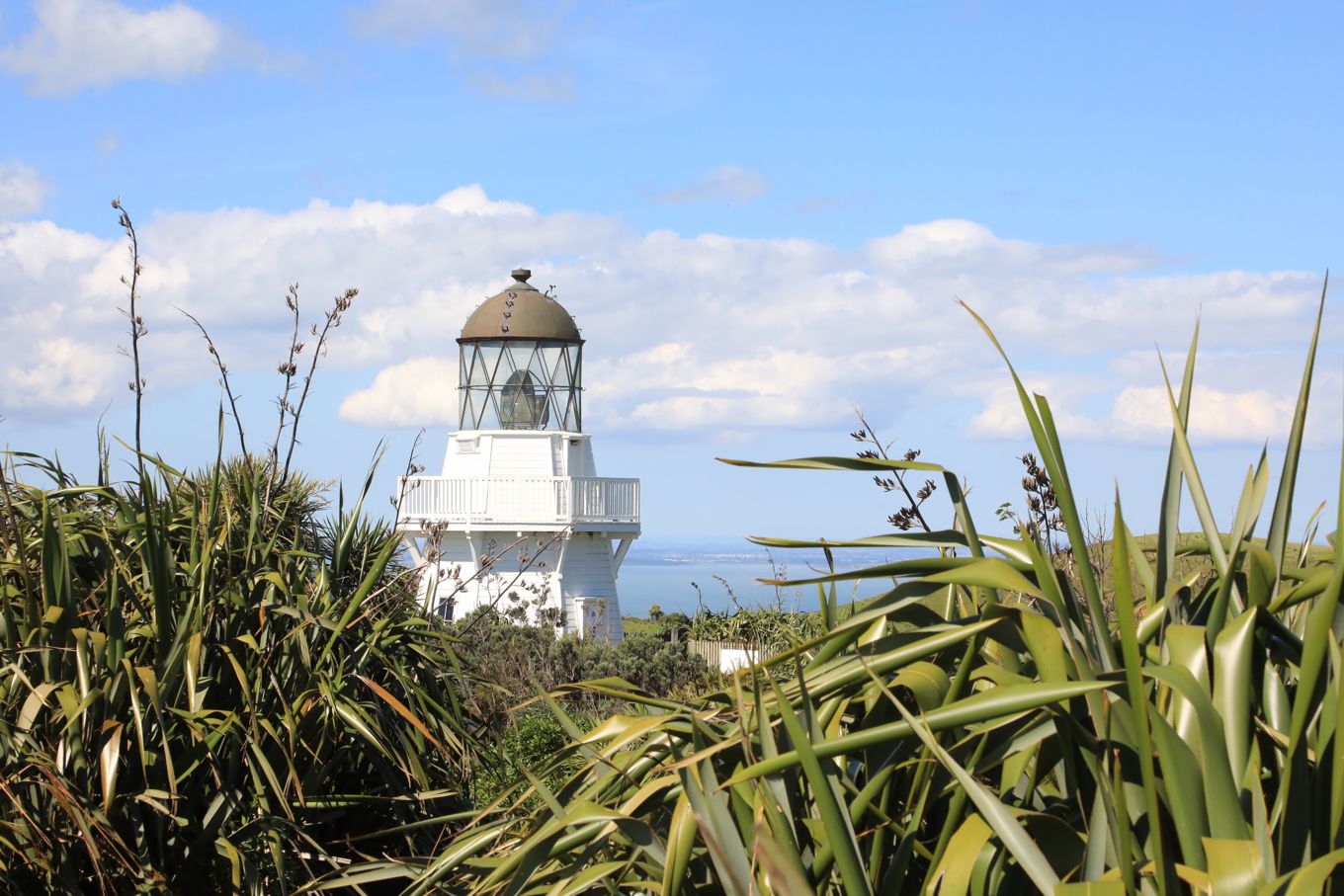 Tourism gets boost in Franklin - OurAuckland