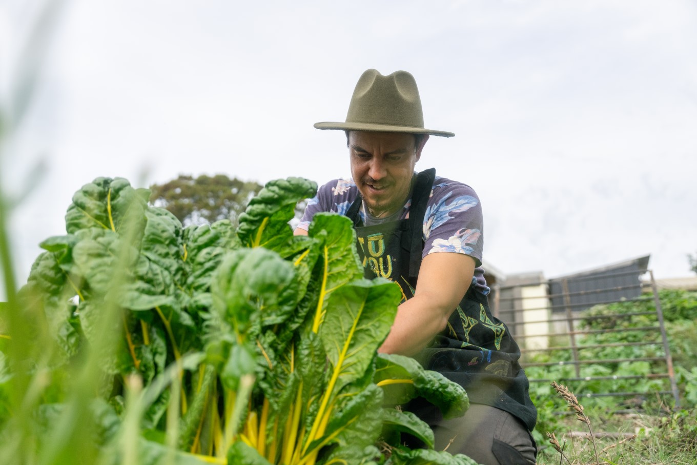 5 ways Māngere Community Enviro Hub is helping the community grow ...