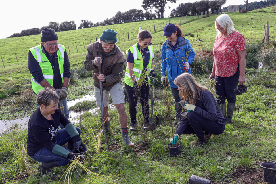 Green-fingered volunteers make a difference - OurAuckland