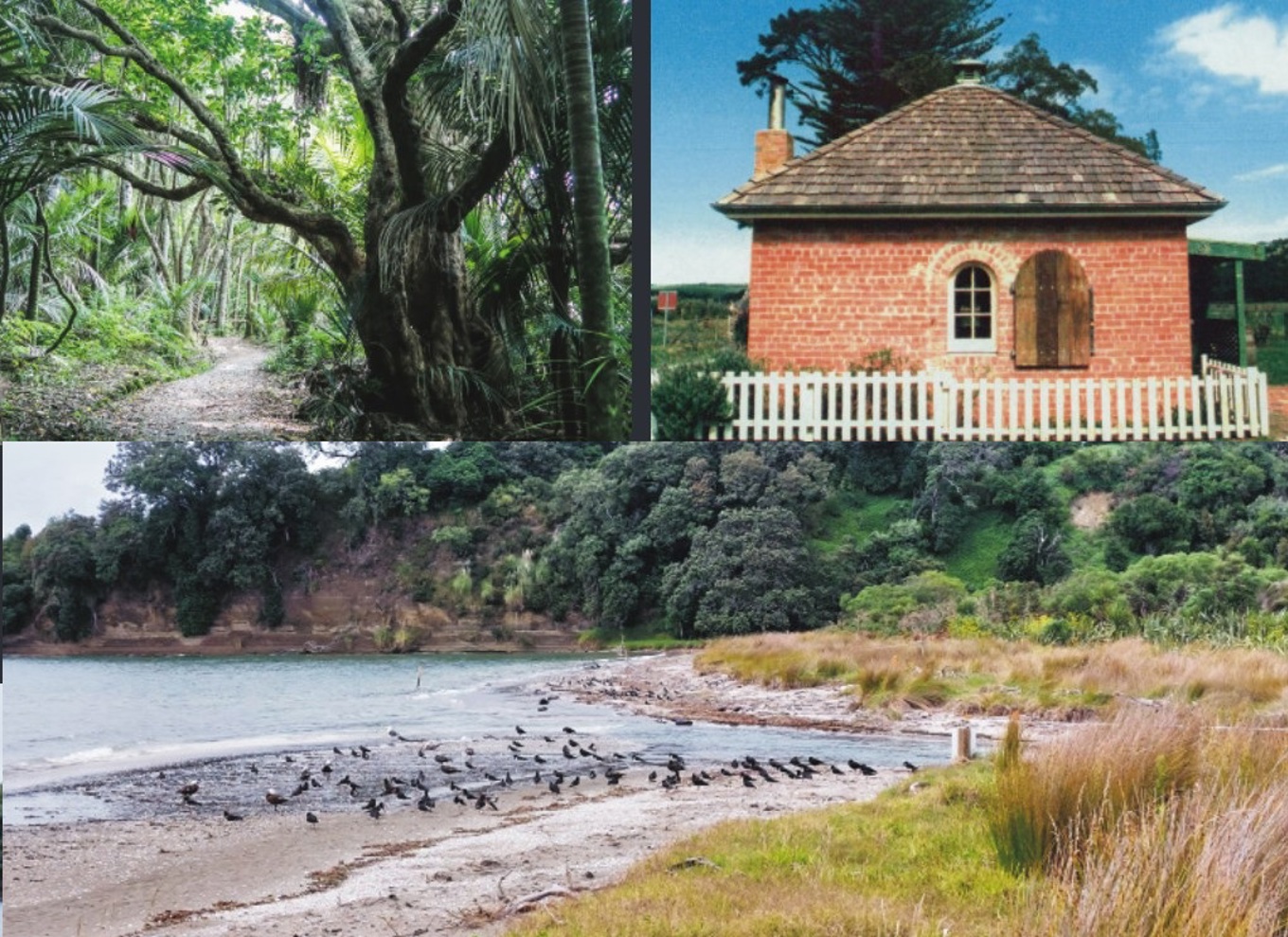 Dacre Cottage and the Weiti Block: Their History and Preservation ...