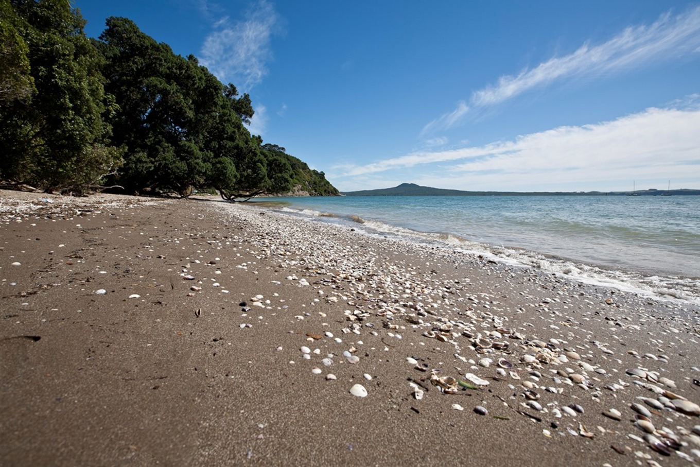 Best Auckland beaches to explore this summer - OurAuckland