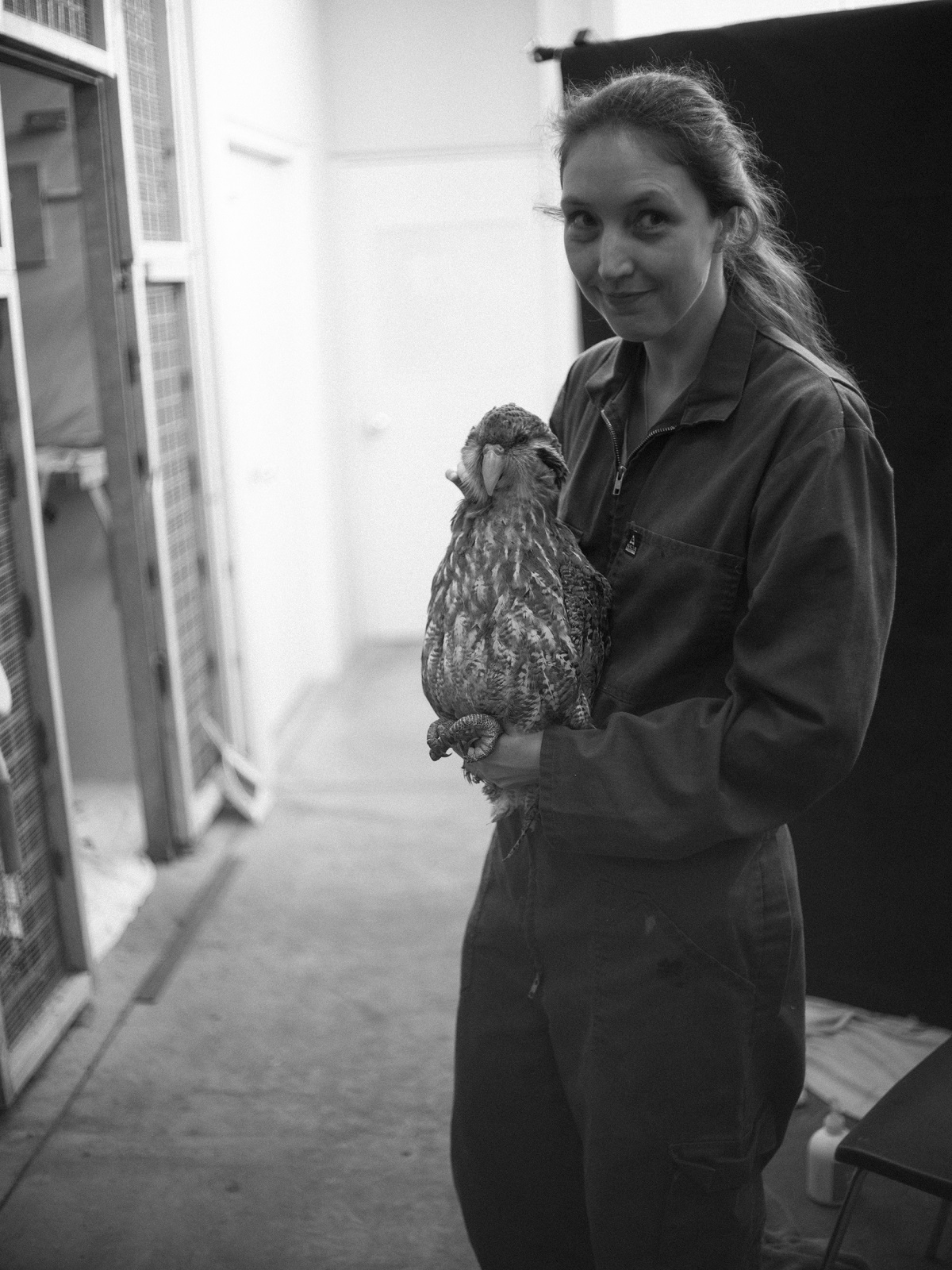 Critical work by passionate zoo staff helping to keep kākāpō alive ...