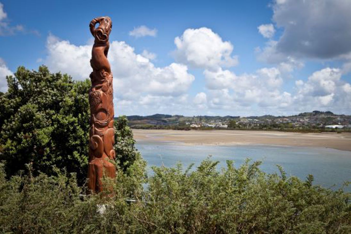 Te Ara Tahuna - Ōrewa estuary guided bike tour - OurAuckland