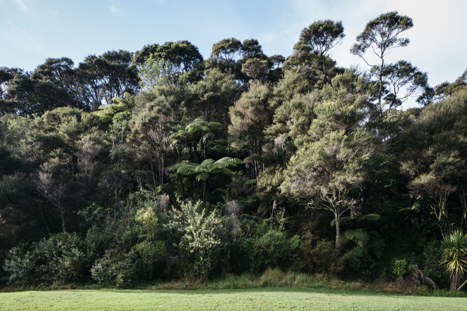 More investment needed for Waitākere Ranges Heritage Area - OurAuckland