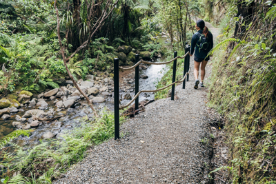 Auckland Regional Parks track update - OurAuckland